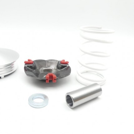 Tuning Variomatik komplett für Piaggio NRG TPH Sfera Quartz ET2 Gilera ...