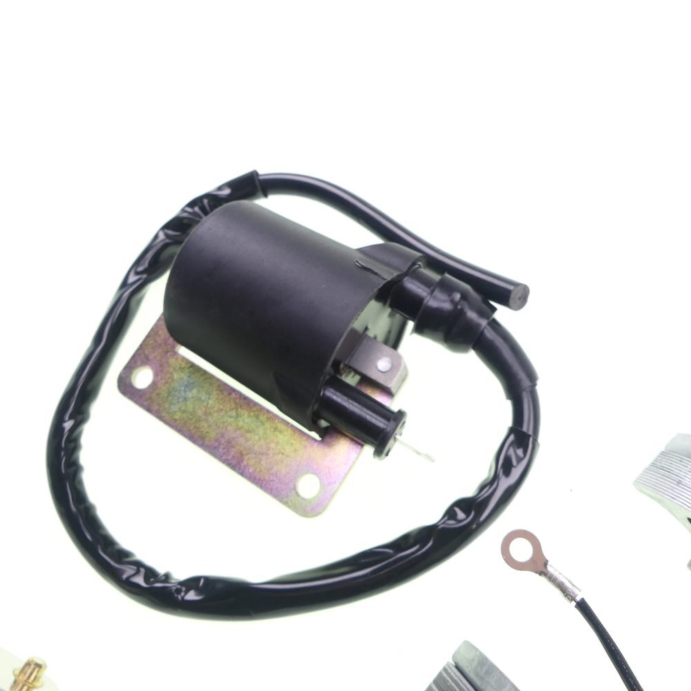 Zündung Revisions Kit Zündspule Unterbrecher für Piaggio Ciao Bravo Si ...